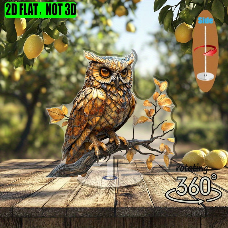 1pc 2d flat Revolving acrylic tabletop figurine featuring a stunning ...