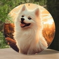 1pc 8x8inch Aluminum Metal Sign Under The Sunset, Pomeranian Dog, runs ...
