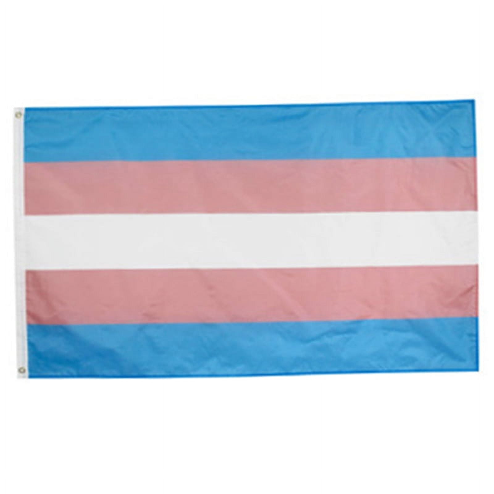 1pc 90*150cm LGBT transgender pride Flag of trans - Walmart.com