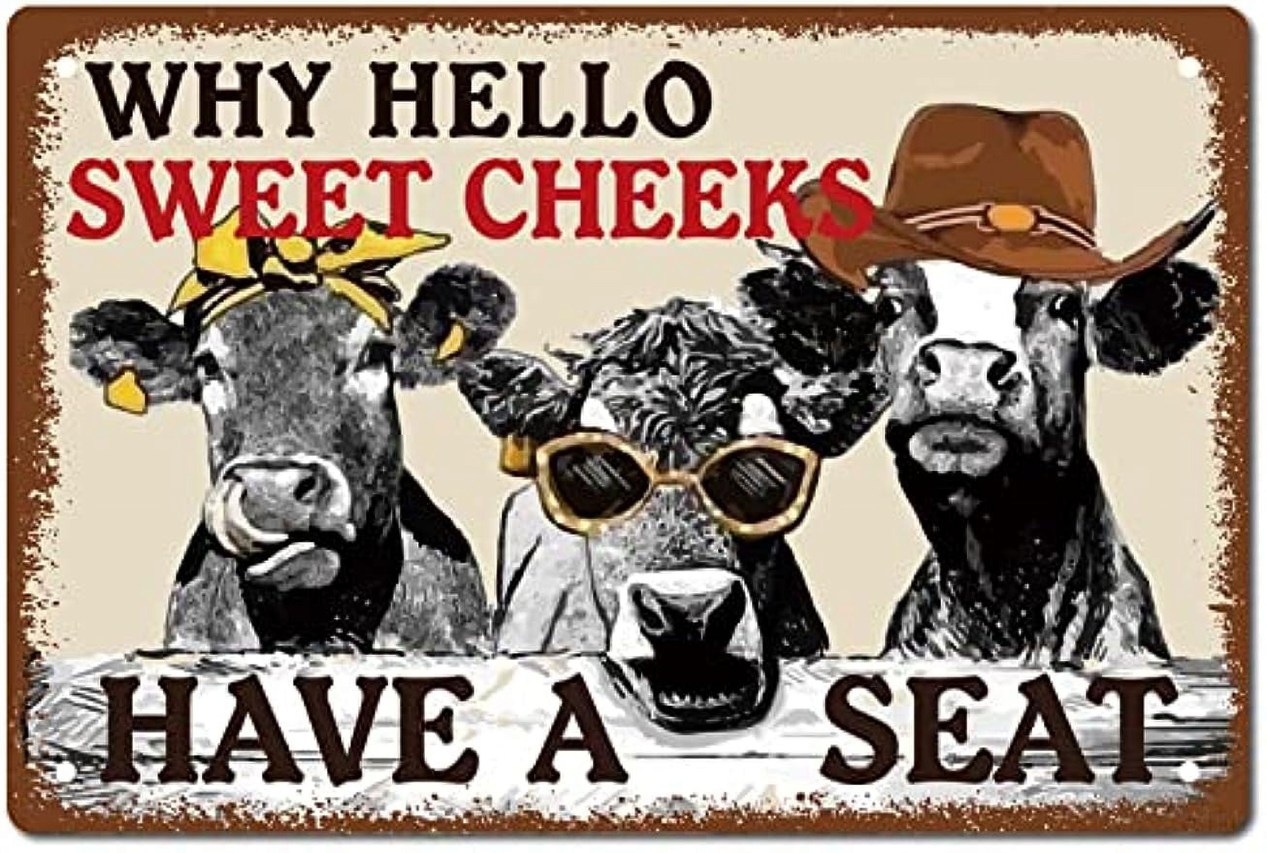 1pc Cattle Why Hello Sweet Cheeks Sign Vintage Tin Signs Funny Metal ...