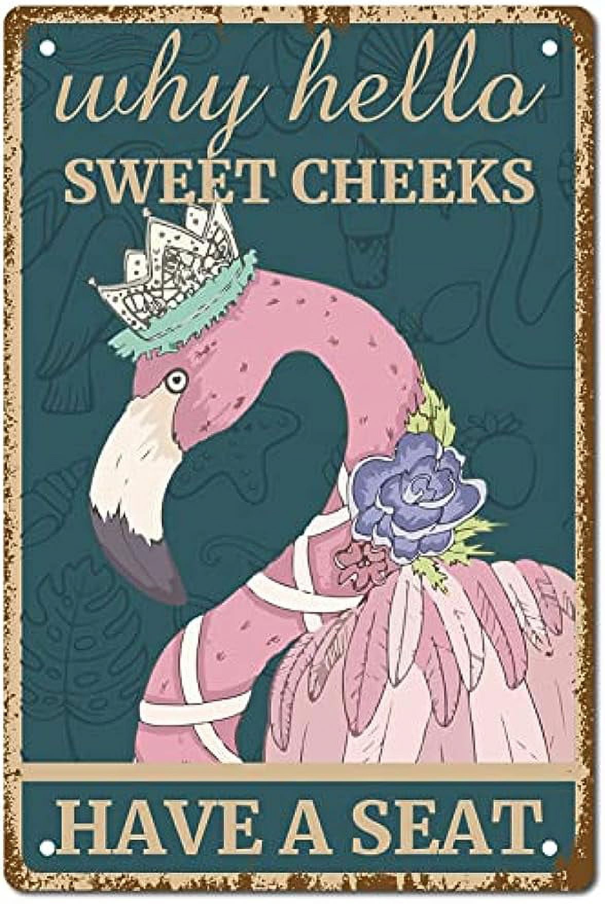 1pc Flamingo Why Hello Sweet Cheeks Sign Vintage Tin Signs Funny Metal ...