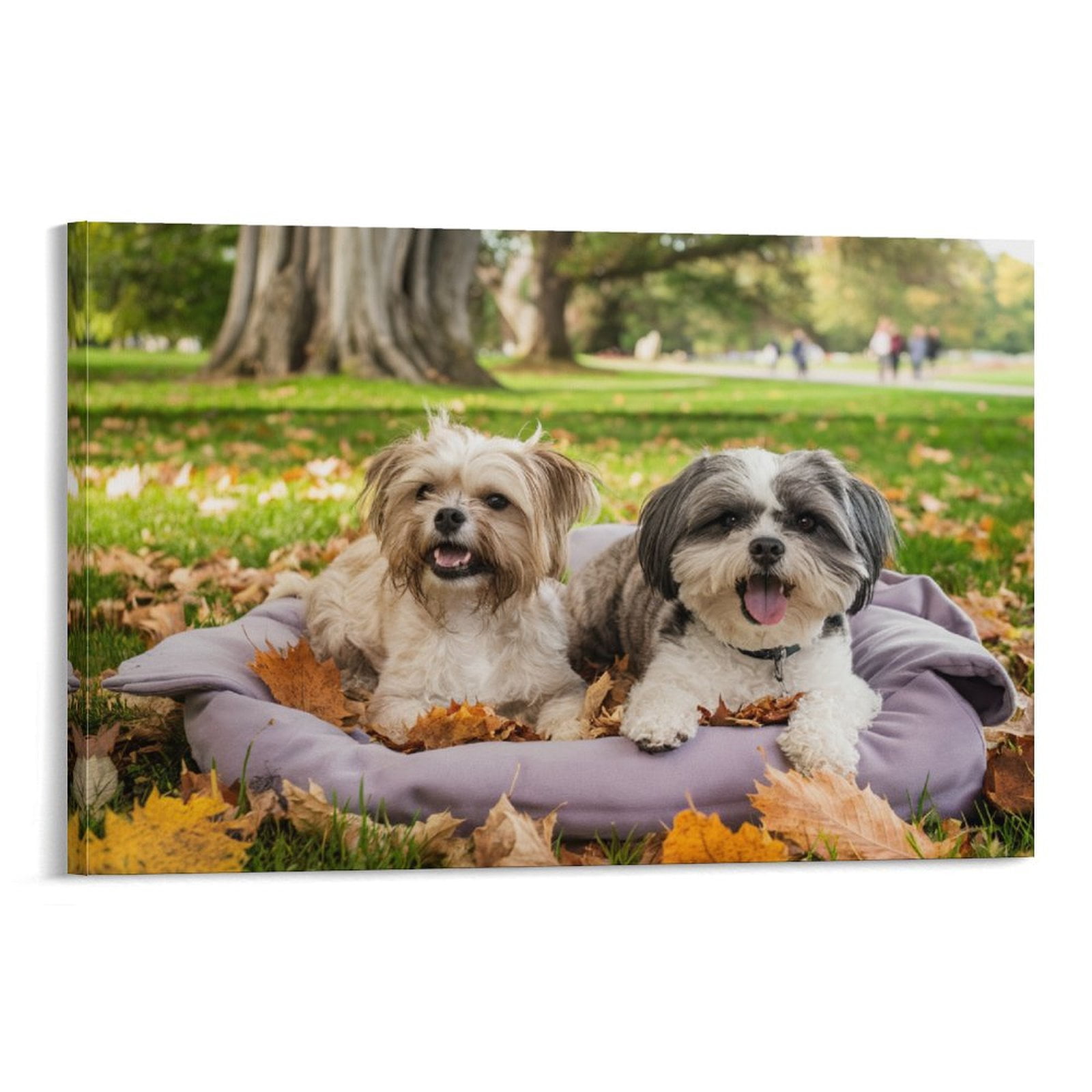 1pc Framed Canvas Two Bearded Collie Dogs 4 Painting Vintage Wall Art ...