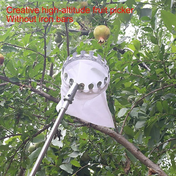 Cherry Fruit Picker Tool