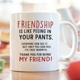 1pc Funny Friendship Mug - "Friendship Is Like Peeing In Your Pants ...