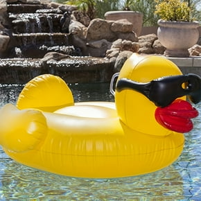 Inflatable Ducks