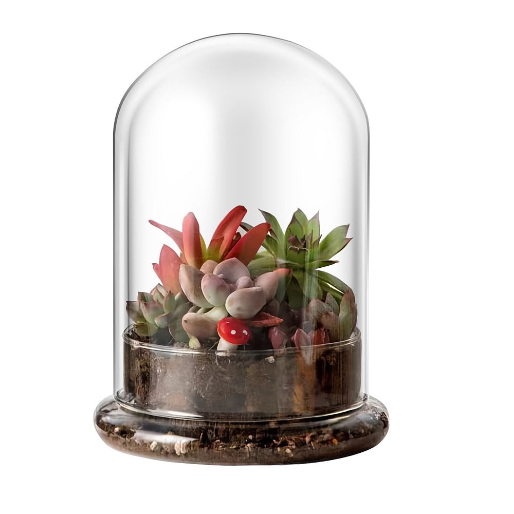 1pc Glass Dome with Air Hole 5.9×8.3inch Glass Dome with Base Cloche ...