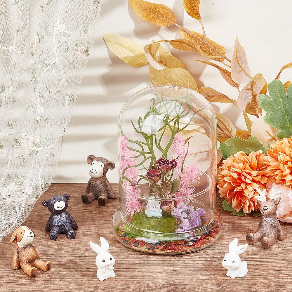 1pc Glass Dome Cover Decorative Display Case Cloche Bell Jar Terrarium ...