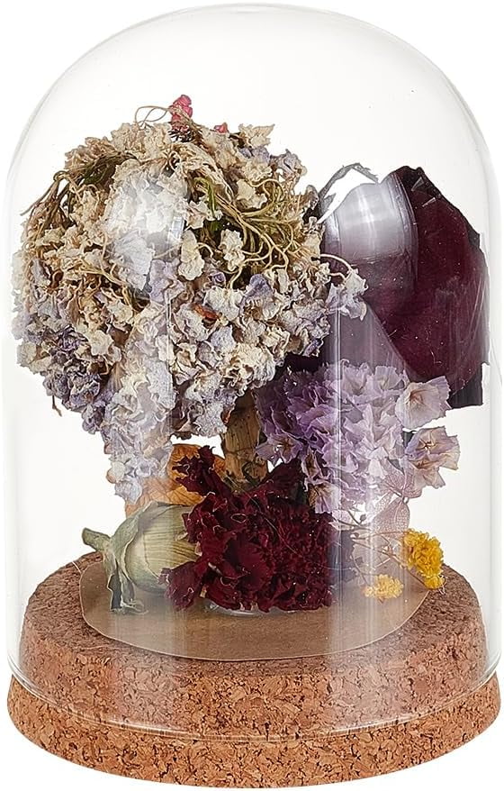 1pc Glass Dome Cover Decorative Display Case Cloche Bell Jar Terrarium ...