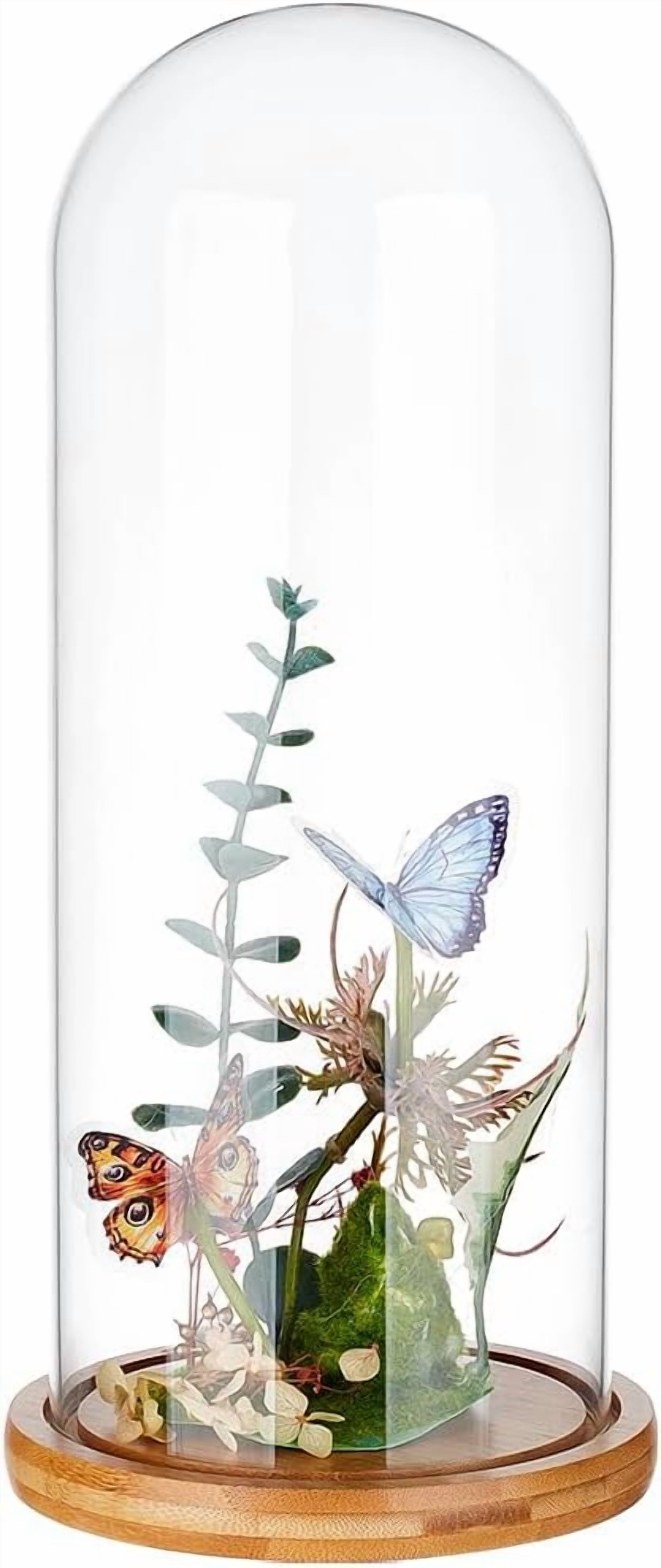 1pc Glass Dome Cover Decorative Display Case Cloche Bell Jar Terrarium ...
