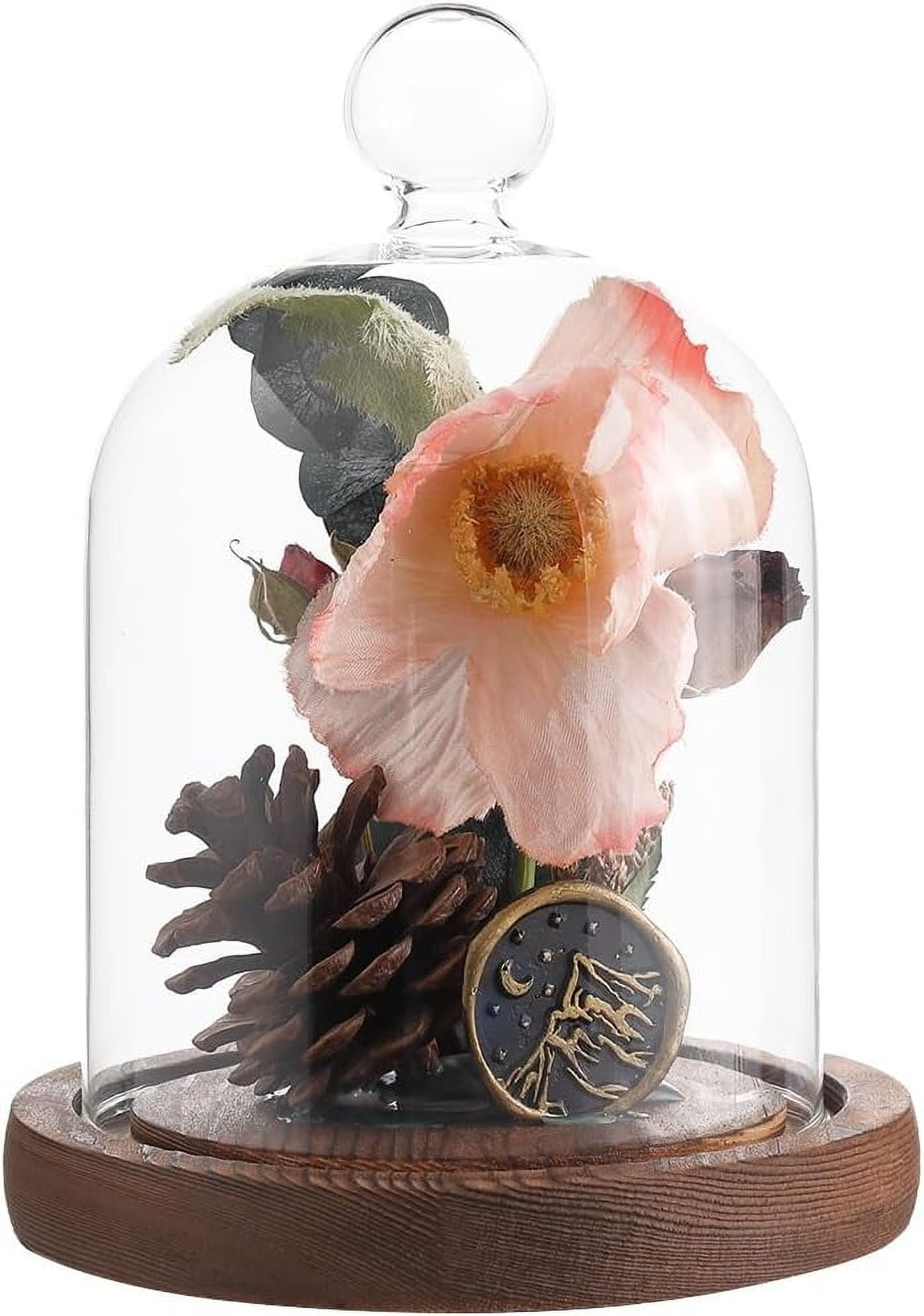 1pc Glass Dome Cover Decorative Display Case Cloche Bell Jar Terrarium ...