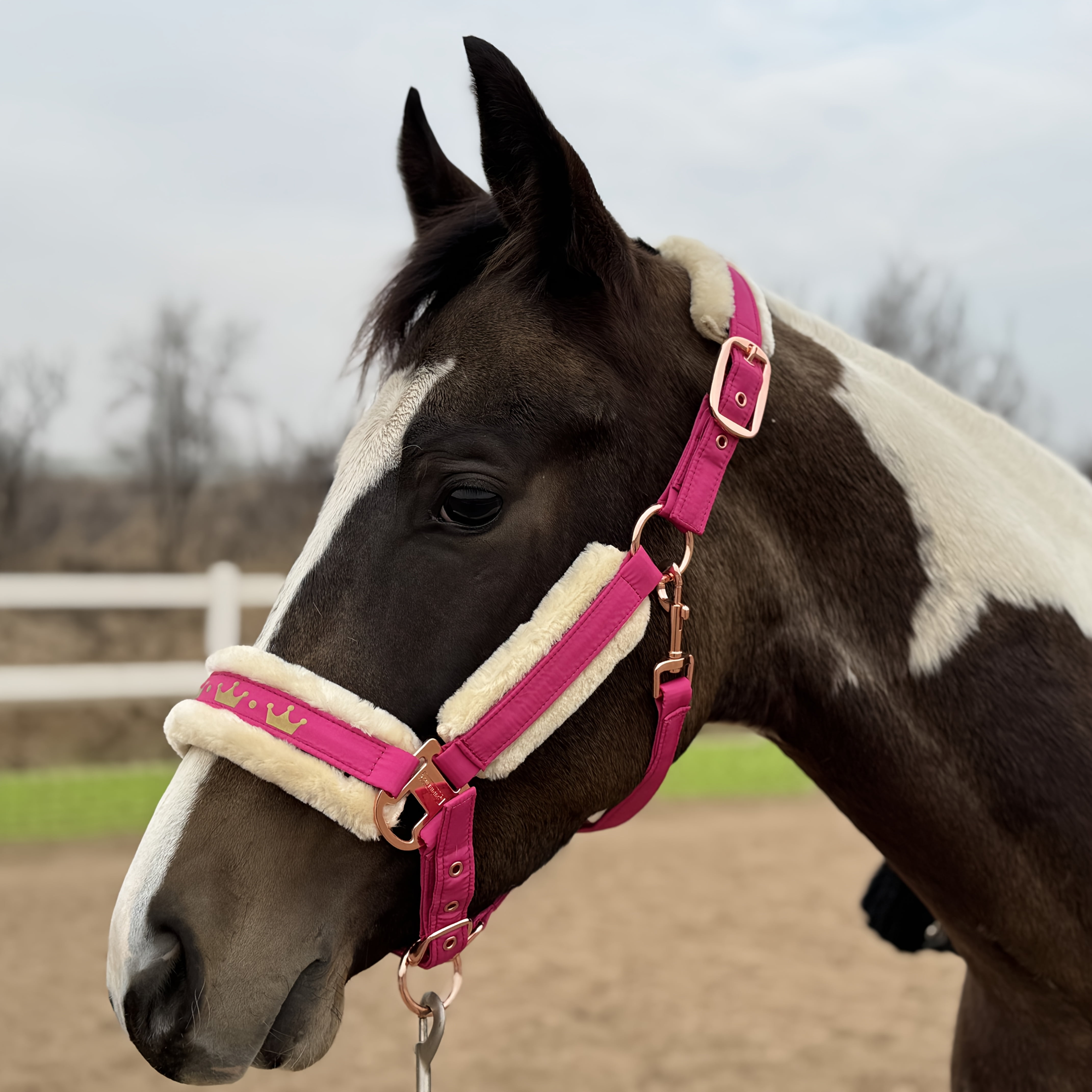 1pc Glossy Buckle Horse Halter, Horse Headgear with Detachable Faux Fur ...
