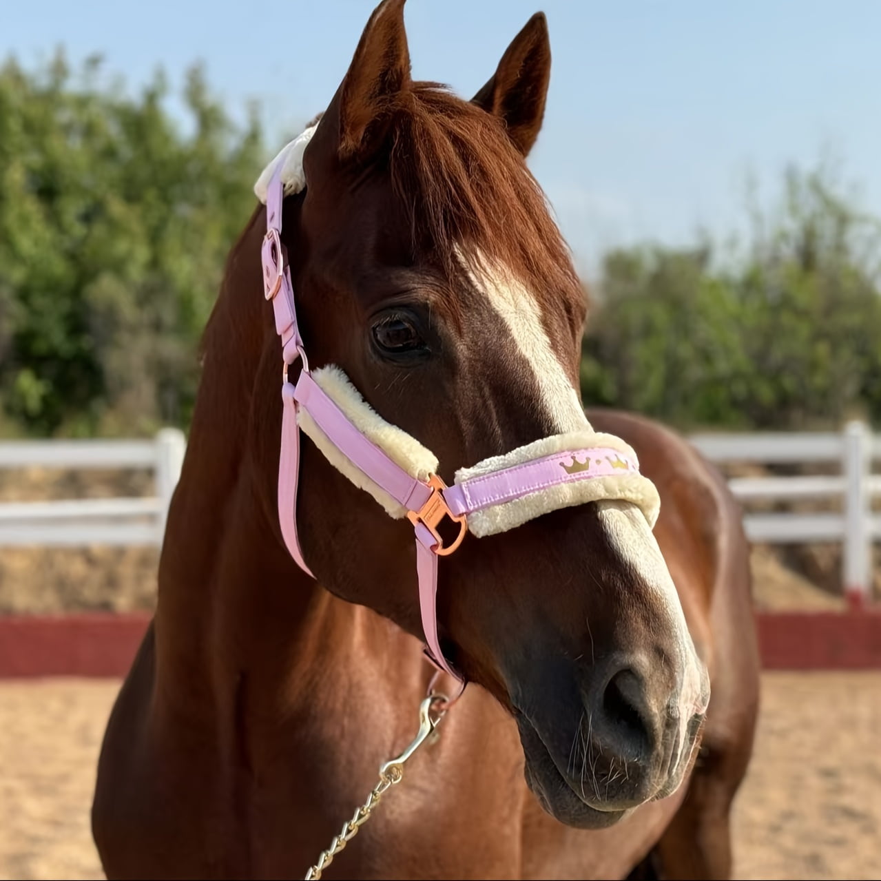 1pc Glossy Buckle Horse Halter, Horse Headgear with Detachable Faux Fur ...