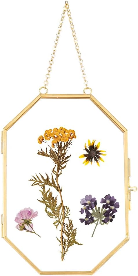 1pc Hanging Glass Floating Frame Octagon Double Glass Floating Picture ...