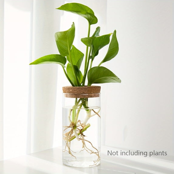 1pc, Hydroponics Plants Desktop Glass Planter Vase For Home Decoration ...