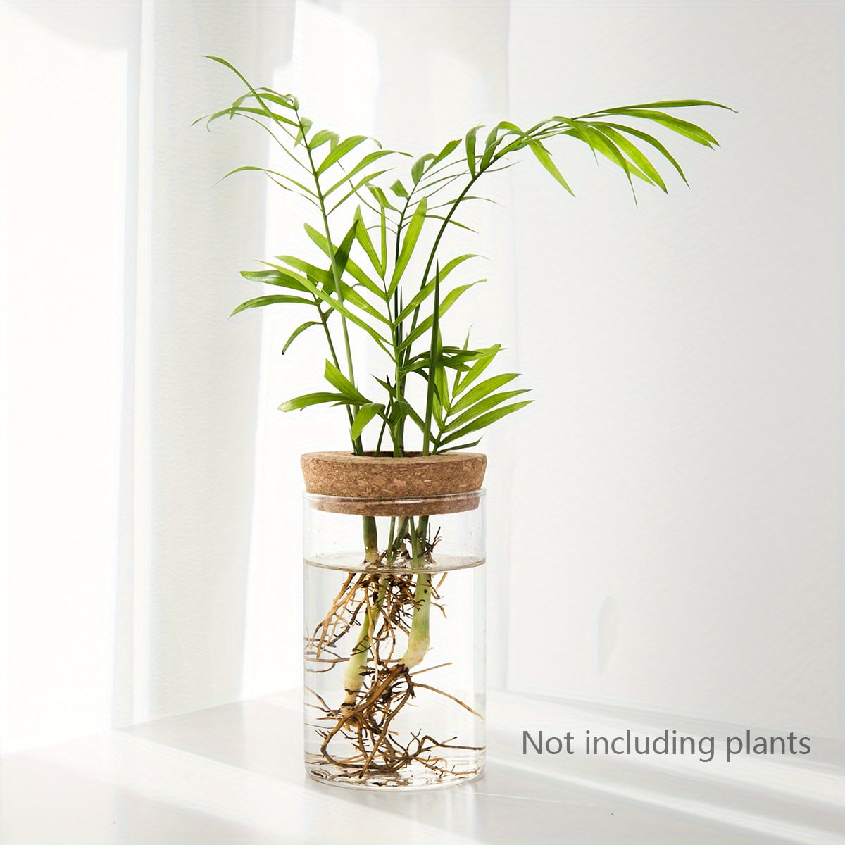 1pc, Hydroponics Plants Desktop Glass Planter Vase For Home Decoration ...
