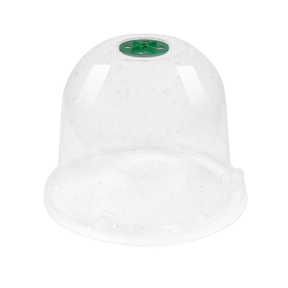 1pc Plant Protection Cover Mini Greenhouse Dome Plant Clock Cover ...