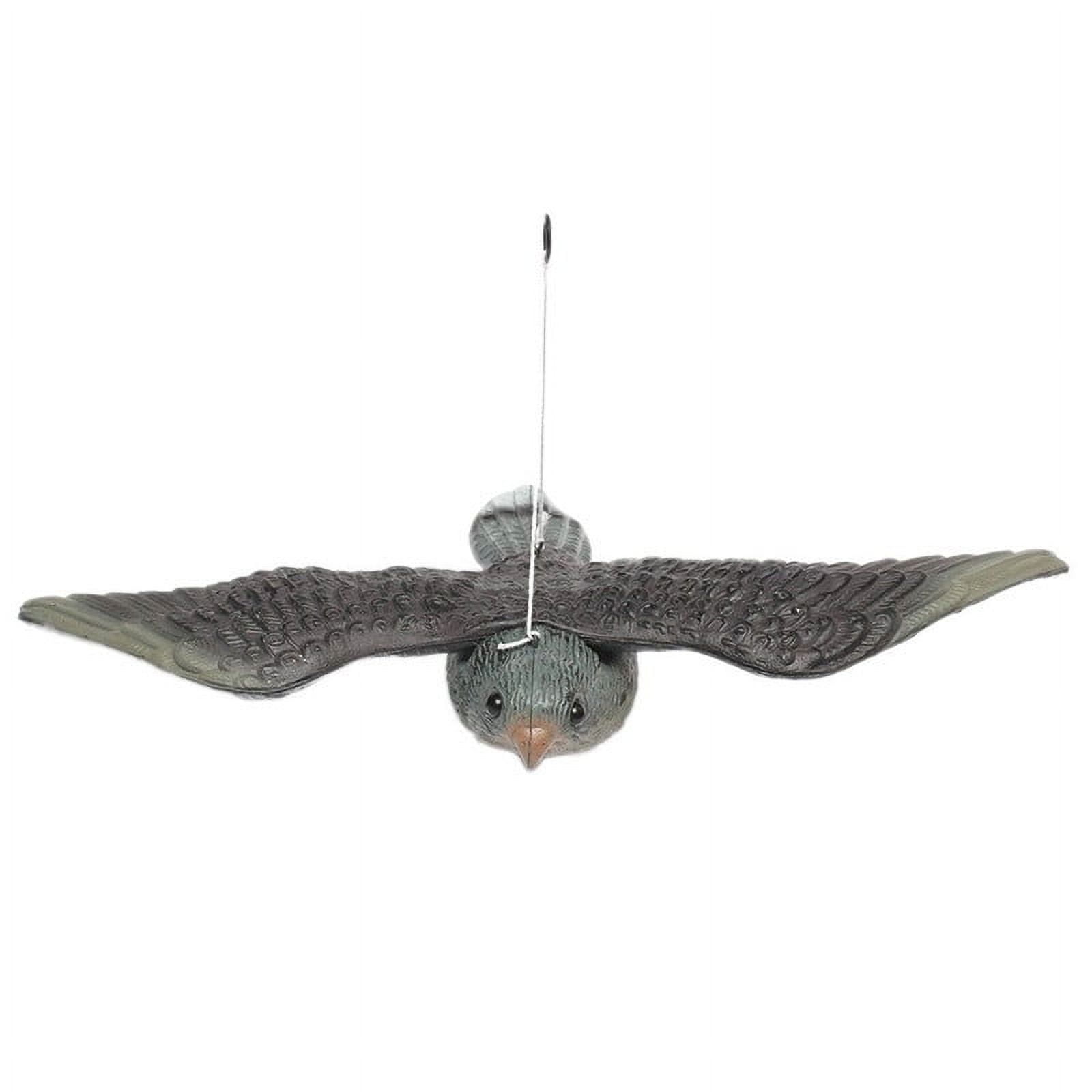 Racing Butterfly Decoy Bird, Realistic Plastic Hawk, Pest Control ...