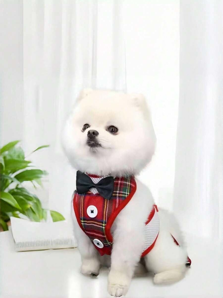 "1pc Stylish Bowtie Pet Harness & Leash Set for Medium-Small Dogs ...