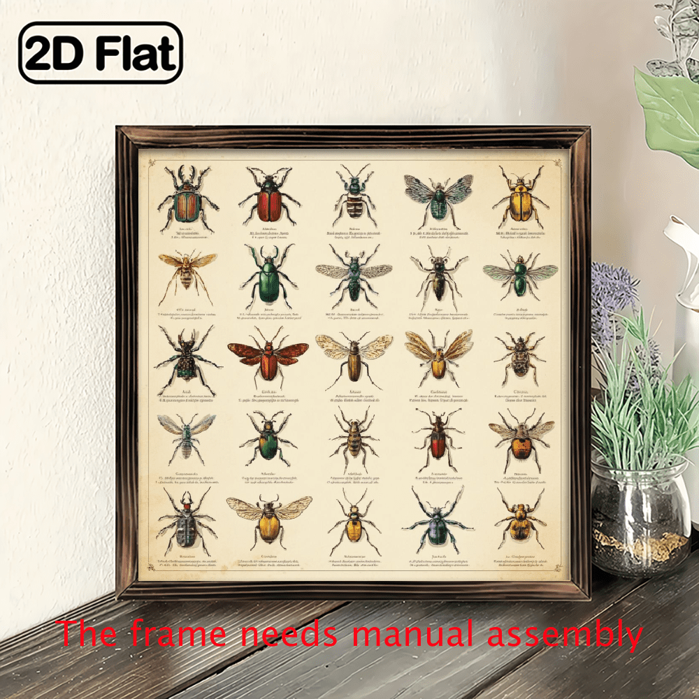 1pc Vintage Entomology Chart Wall Art - Rustic Wooden Framed Insect ...