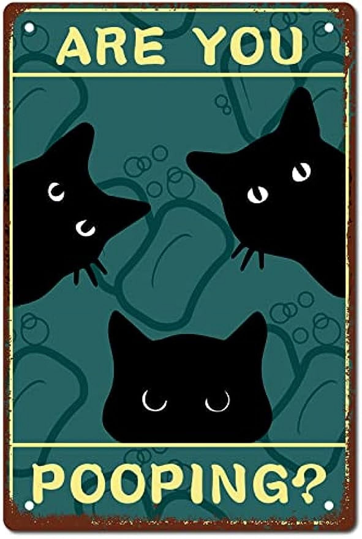 1pc are You Pooping Metal Tin Sign Black Cat Bathroom Iron Sign Posters ...