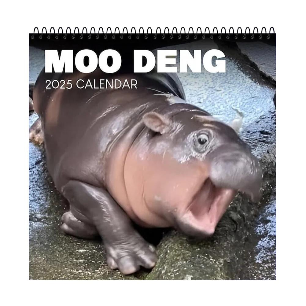 1pcs #MOO DENG# Calendar,2025 #MOO DENG# Pygmy Hippo Monthly Wall ...