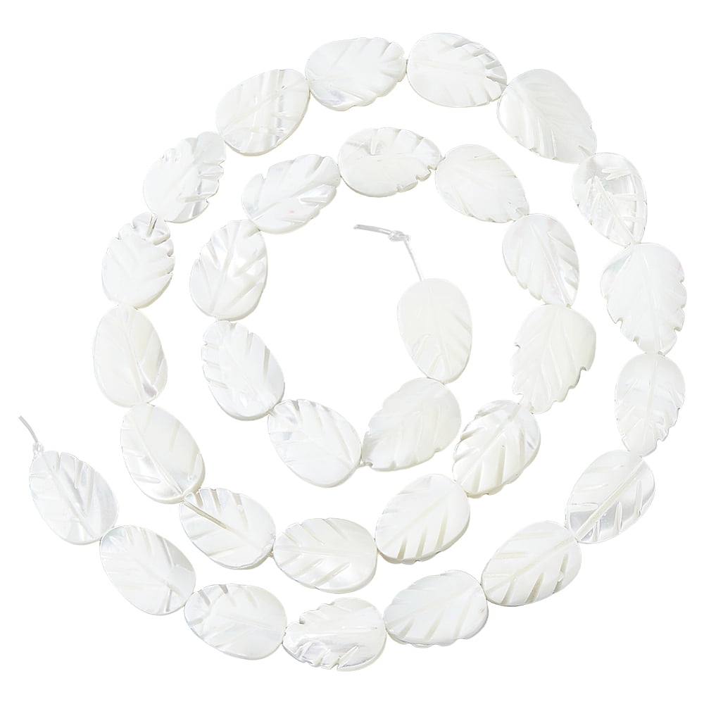 1set 1 Strand Trochid Shell/Trochus Shell Beads Strands Bleach Leaf ...