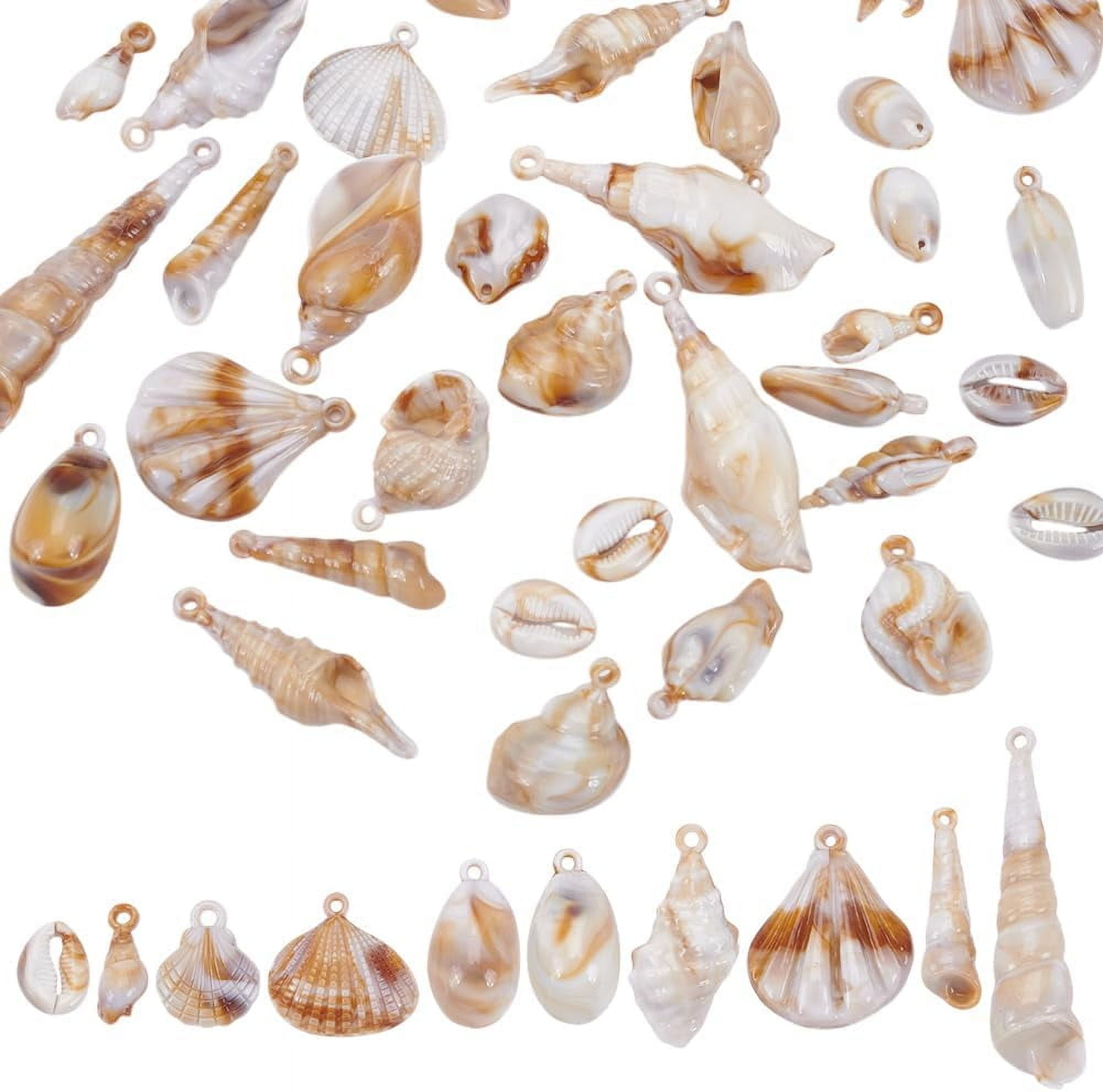 1set 22pcs Opaque Acrylic Pendants Shell Shape Peru 18~69x9.5~30x5~17mm ...