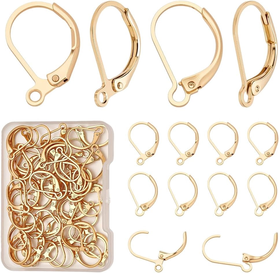 1set 60pcs 2 styles Brass Leverback Earring Findings with Horizontal ...