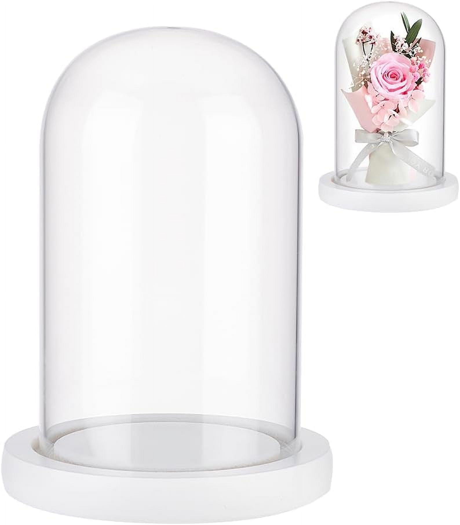 1set Glass Dome Cover Decorative Display Case Cloche Bell Jar Terrarium ...