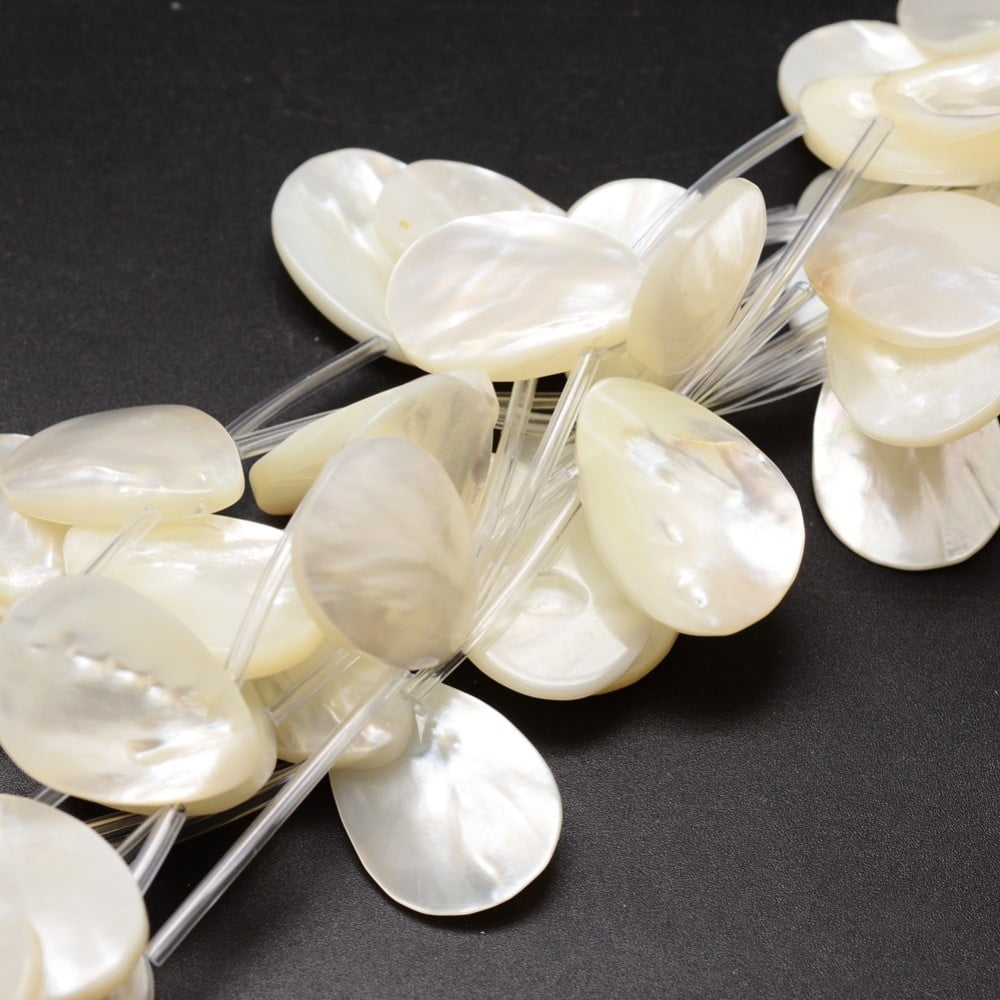 1strand Natural Trochid Shell/Trochus Shell Beads Strands Top Drilled ...