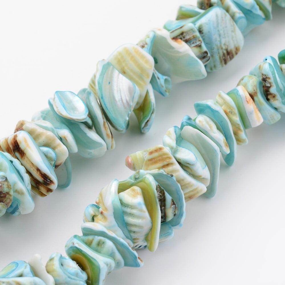 1strand Shell Bead Strands Dyed Nuggets Sky Blue 10~20x8~12x3~6mm Hole ...