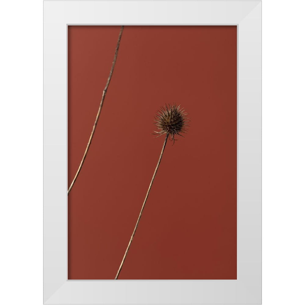 1x Studio III 17x24 White Modern Wood Framed Museum Art Print Titled ...