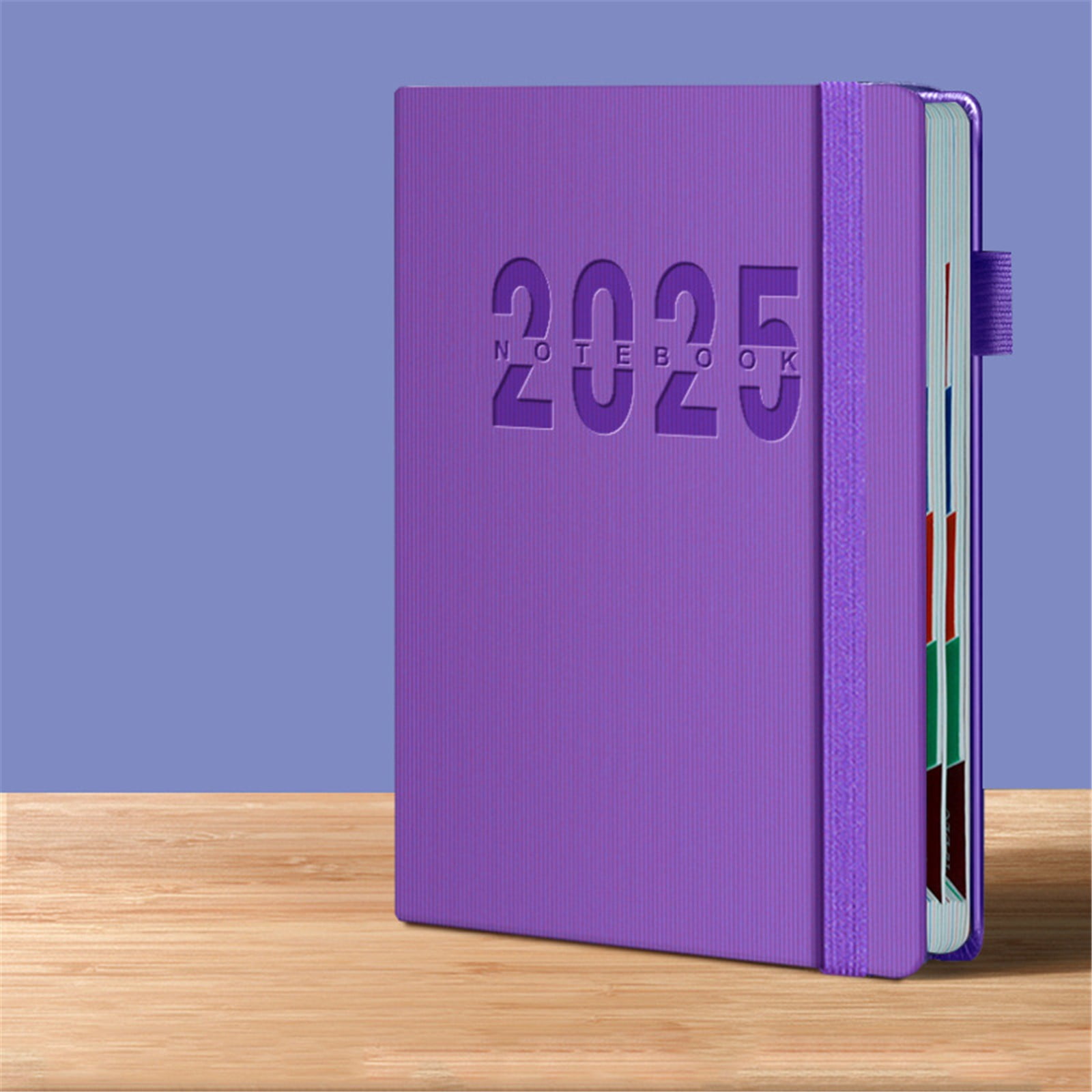 1X Notebook 2025 Academic Planner 2025 Monthly Tabs Daily Organizer ...