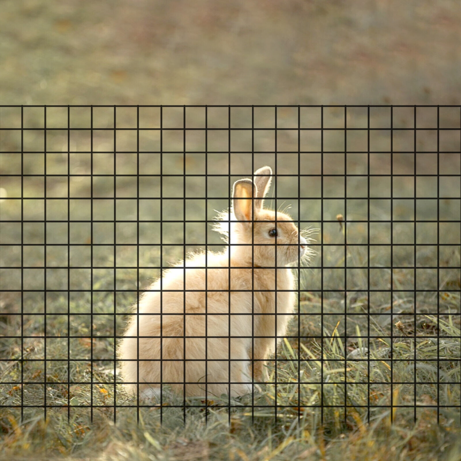 1x1 inch Hardware Cloth Black Chicken Wire Welded Fence Mesh Roll Black ...