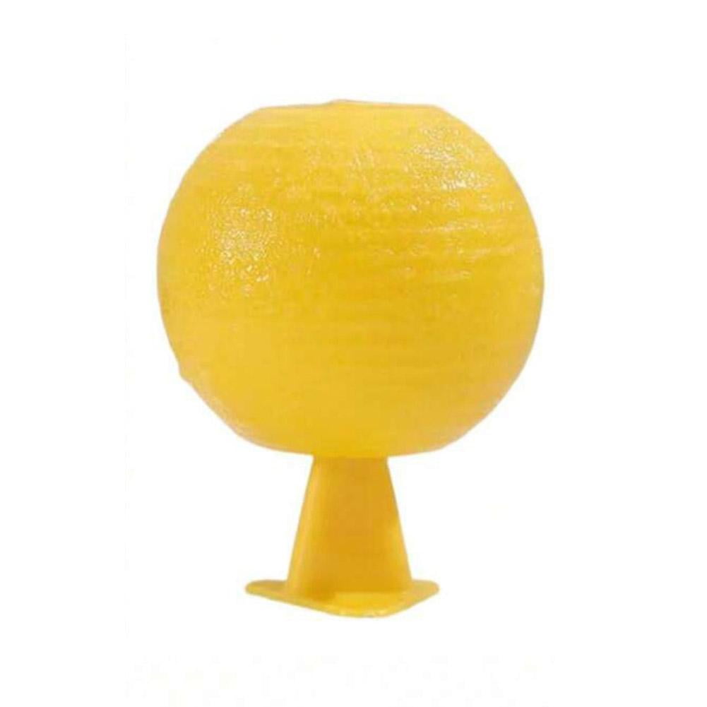 1xSticky Fruit Fly Traps Ball Fungus Gnat Killer Trap Use for Indoor ...