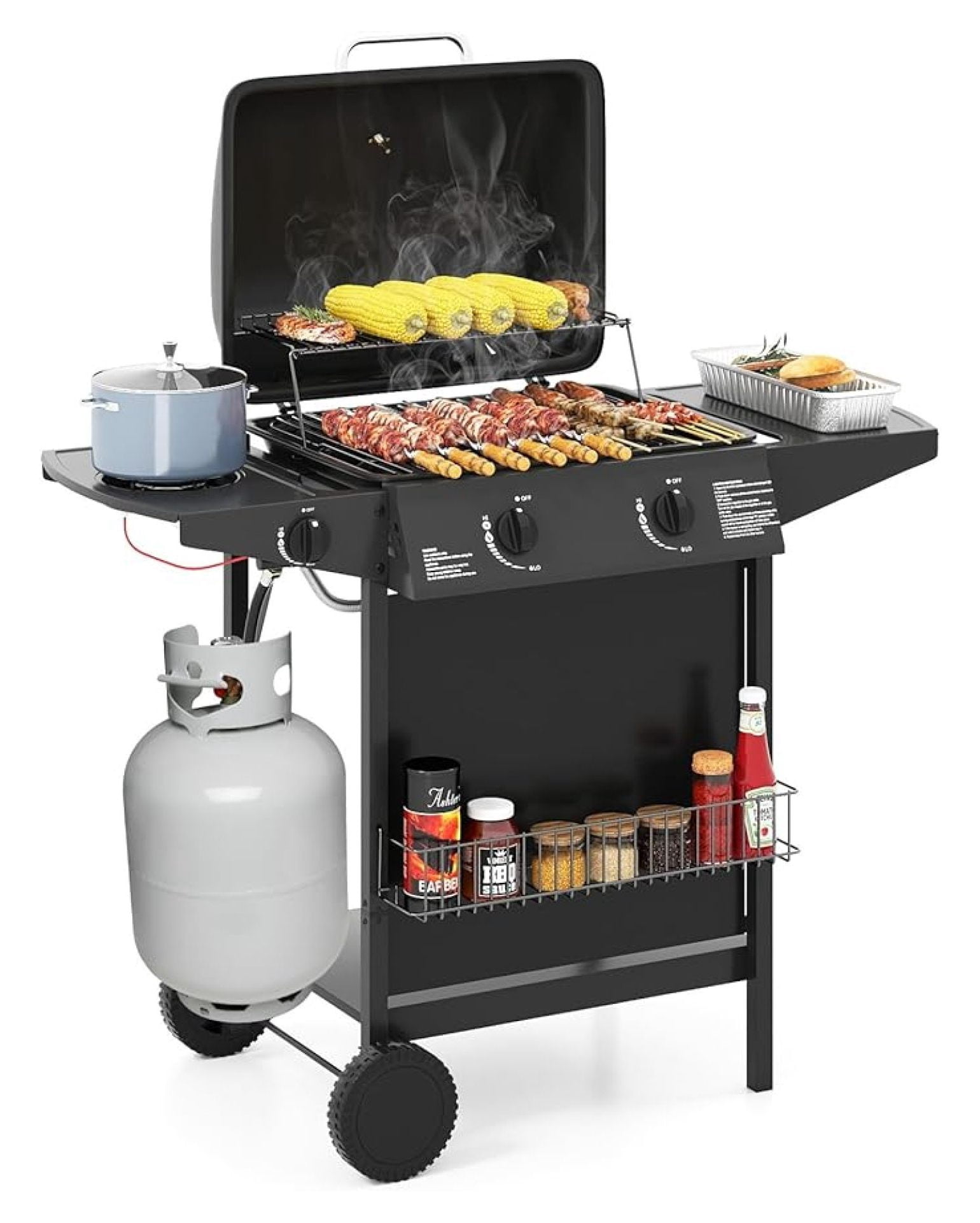 2 + 1 Burner Propane Gas Grill, 30,000 BTU Outdoor Cooking Grill with ...