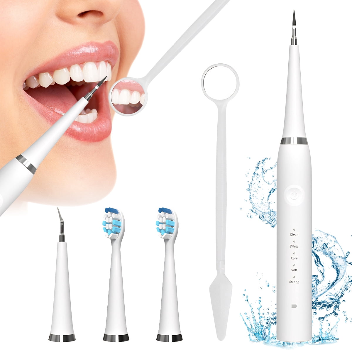2 in 1 Electric Plaque & Tartar Remover with Replaceable Heads ...
