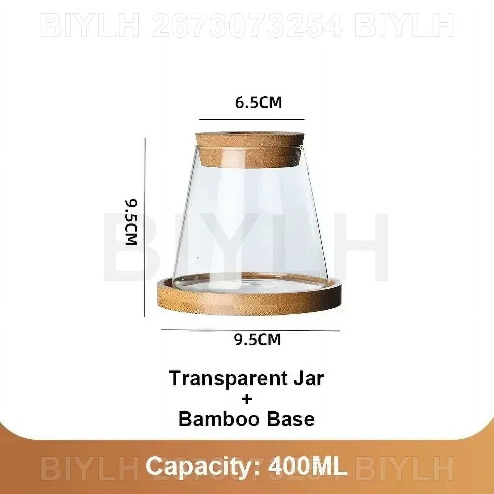 2/1 Pcs Hydroponic Plants Glass Flower Pots Home Decoration Transparent ...