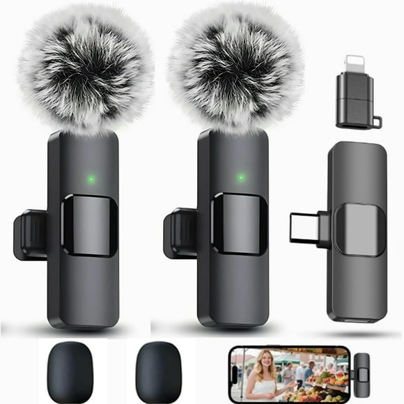 Mini Microphone