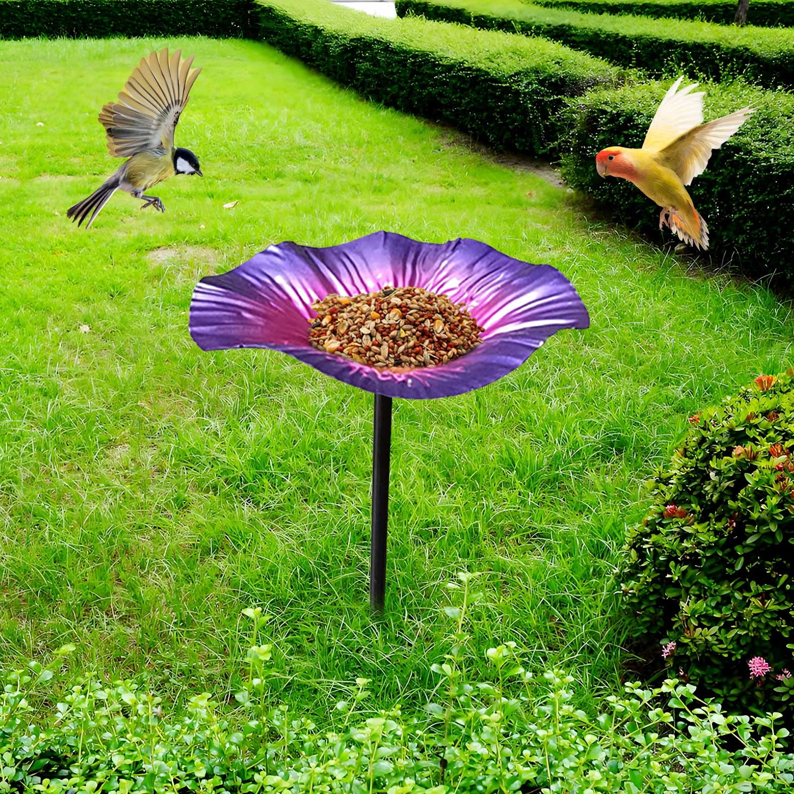 2 in 1Vintage Iron Bird Bath Feeder 10x6in - Metal Bird Baths for ...