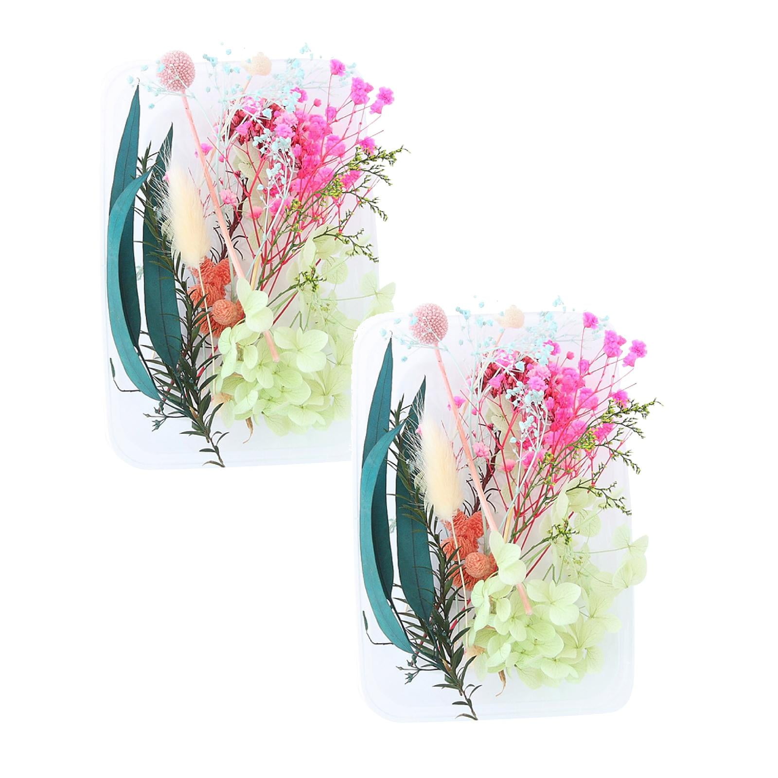 2/1box Dried Flowers For Resin Mixed Pressed Dry Flower Leaves Real ...