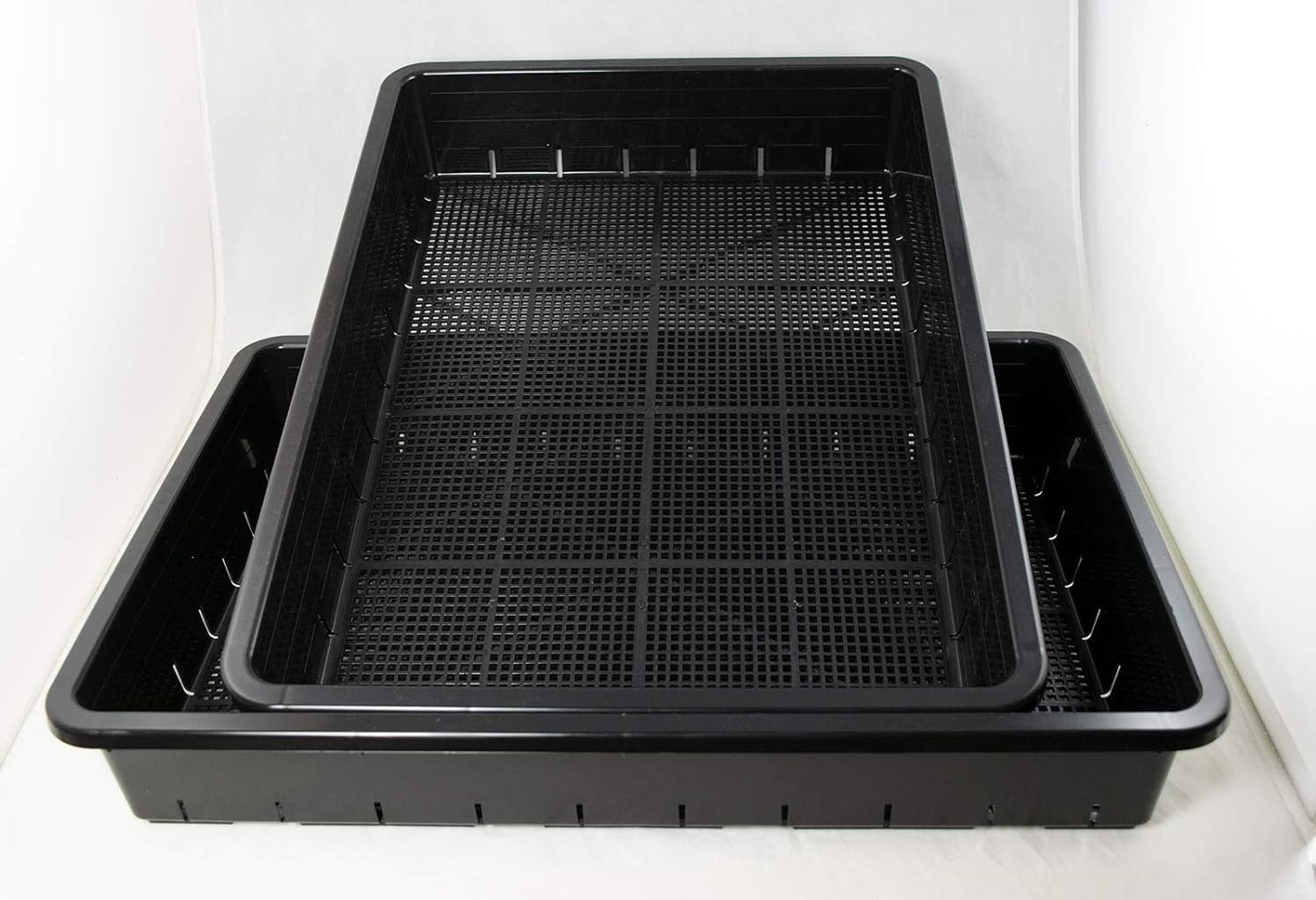 2 - 20" Plastic Propagation, Bonsai Forest/Group Planting Tray ...