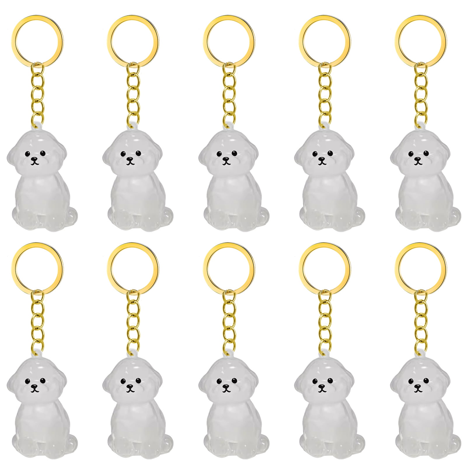 2/3/4/5/10Pcs Pet Memorial Keychain With Clear Furs Collector Perfect ...