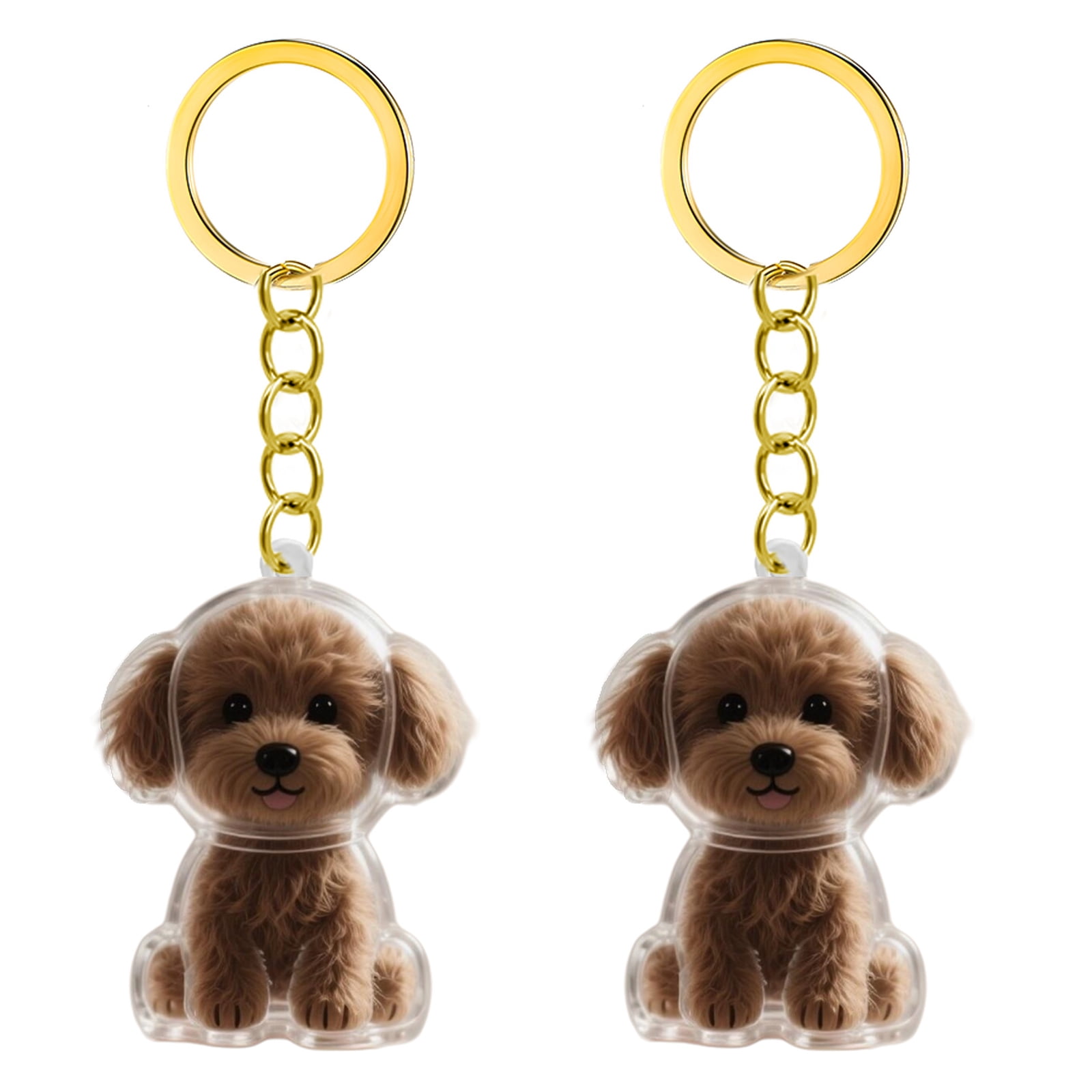 2/3/4/5/10Pcs Pet Memorial Keychain With Clear Furs Collector Perfect ...