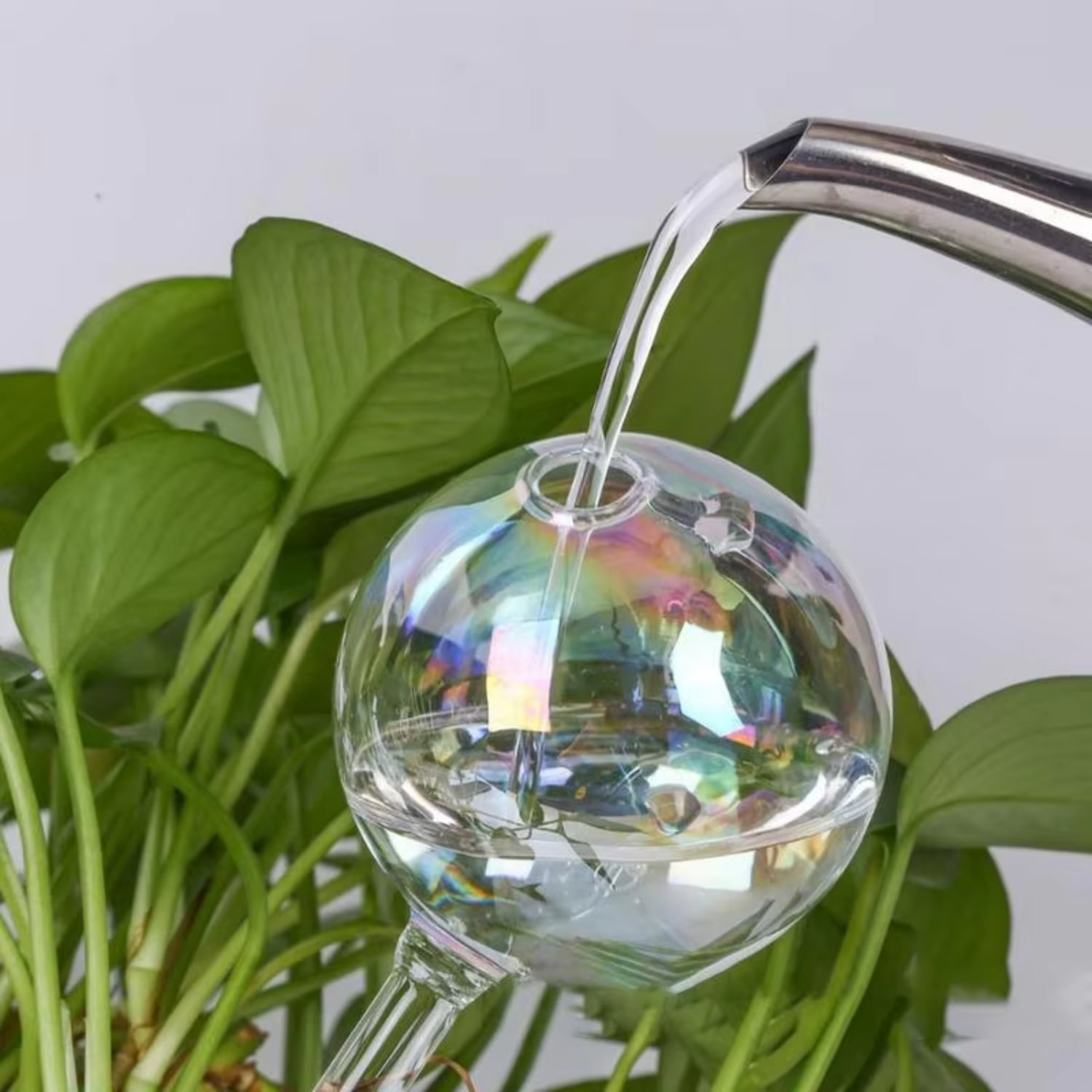 2/3/4/6Pcs Automatic Plant Watering Bulbs Self Watering Glass Balls ...