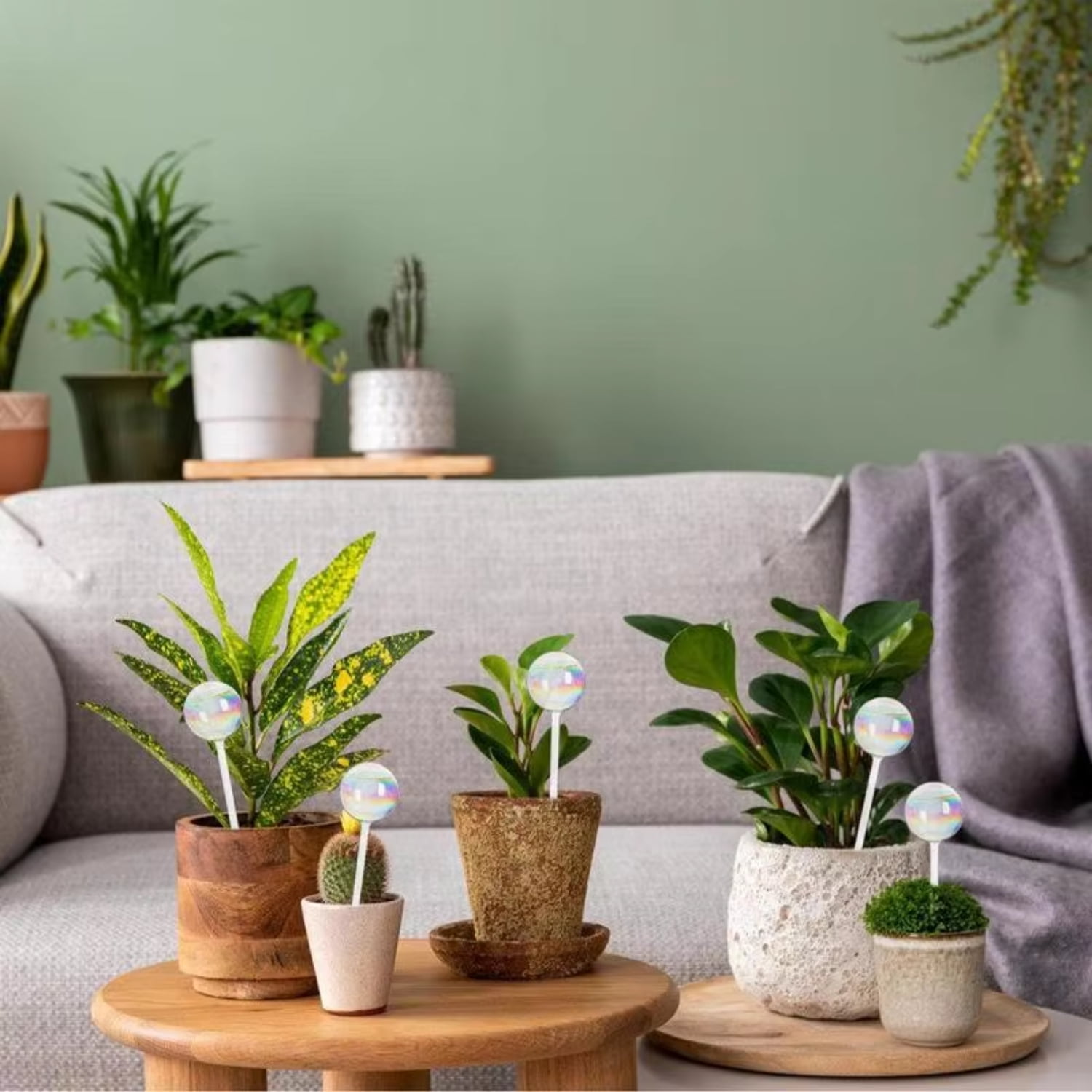 2/3/4/6Pcs Automatic Plant Watering Bulbs Self Watering Glass Balls ...