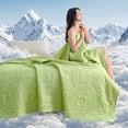 2/3pcs Premium Quilted Bedspread Set, Skin-Friendly Washable Bed Cover ...