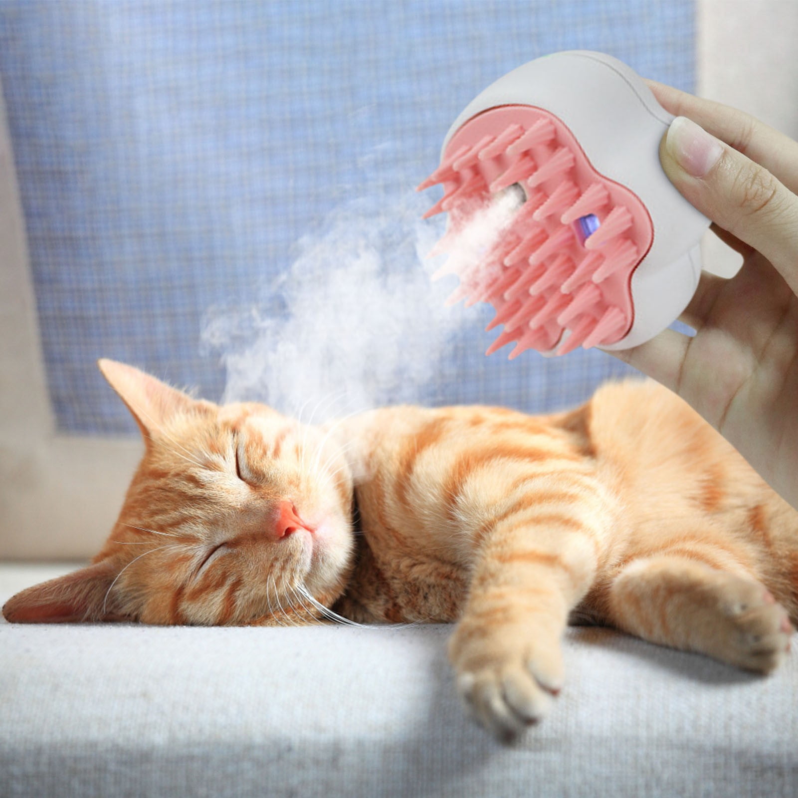 2.4*3*3.3 Inch 4 In 1 Cat Steam Brush for Shedding, Cloud Care Cat ...