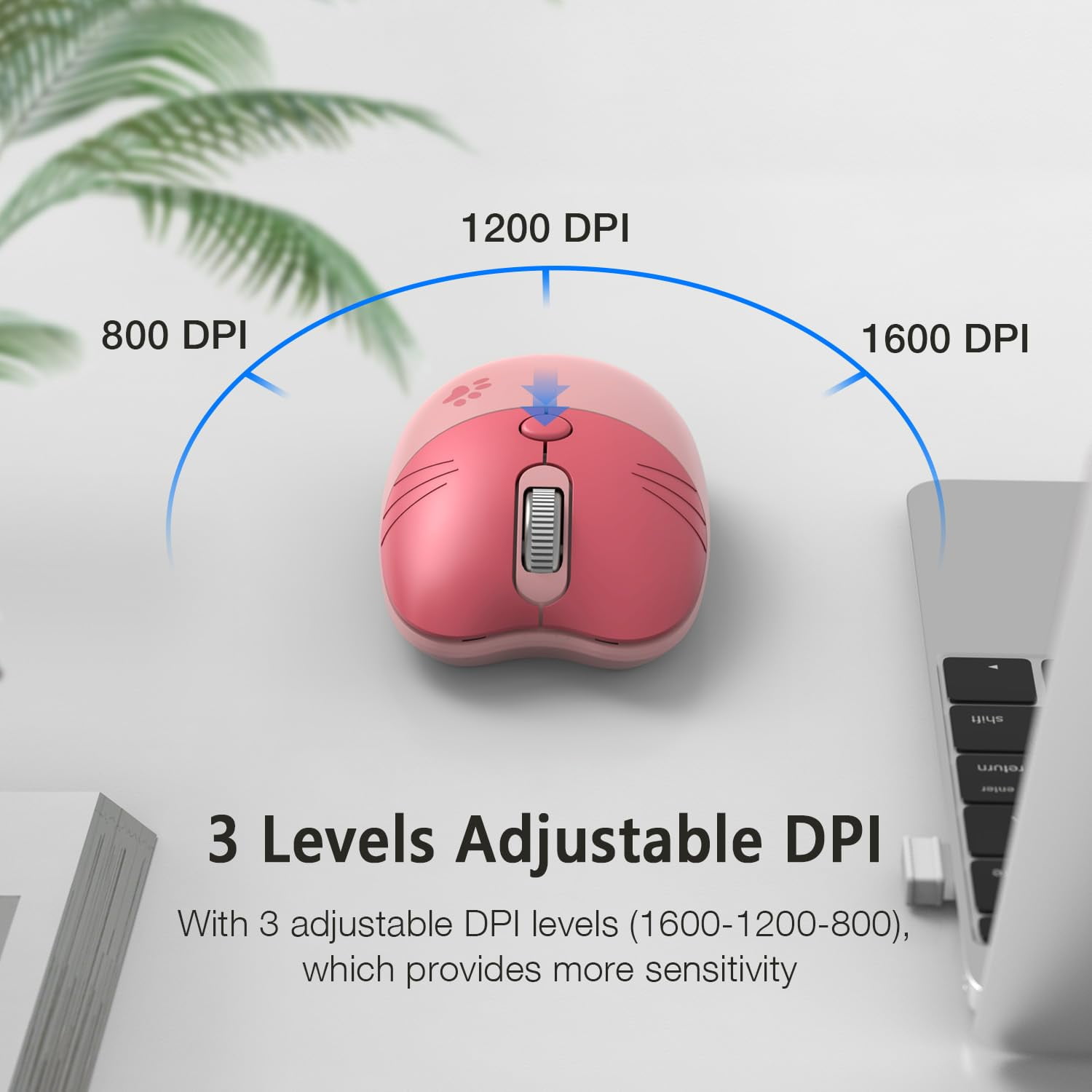 2.4G Wireless Mouse, Lightweight Soundless, 3 Levels DPI, Kawaii Mouse ...