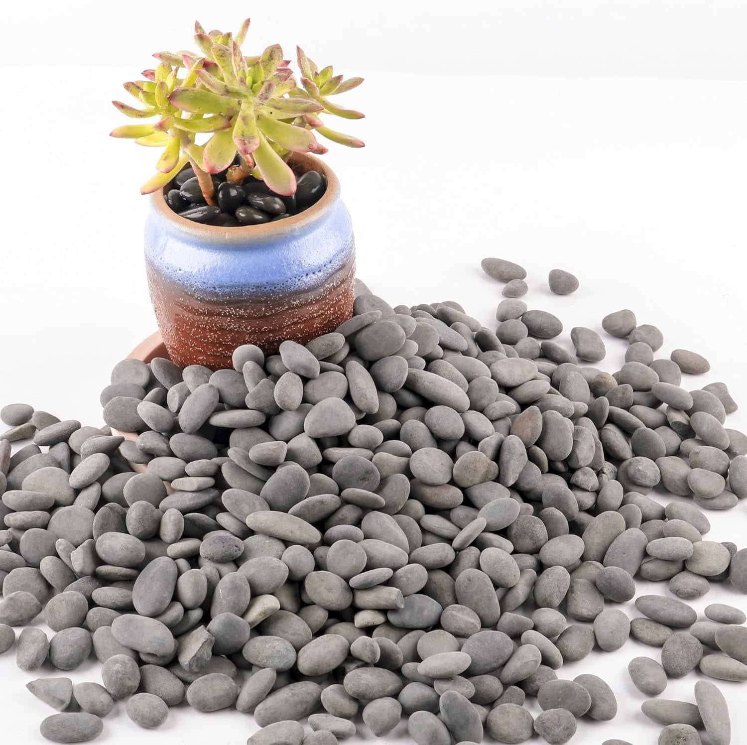 2.4lb Black Rocks for Plants, Decorative River Rocks for Succulents ...